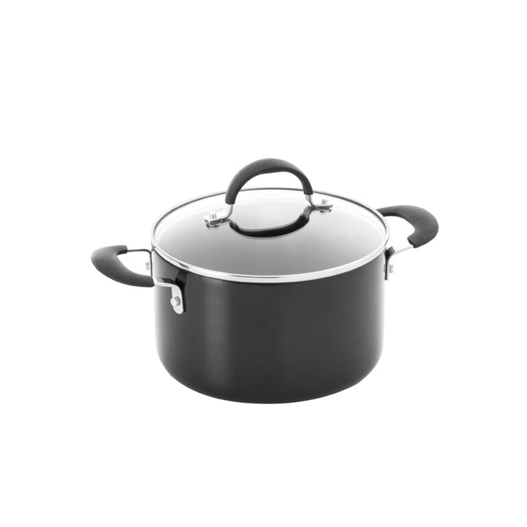 Gourmet Non-Stick Stock Pot & Lid 20cm / | ProCook