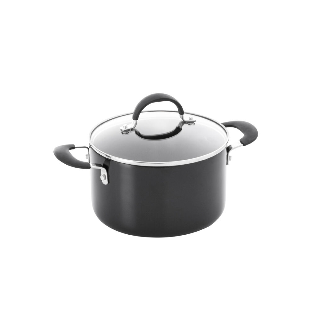 Gourmet Non-Stick Stock Pot & Lid 20cm / | ProCook